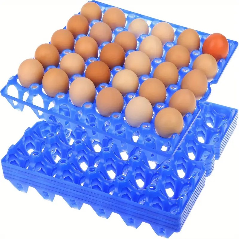 30-Egg Capacity Crates - Cyprus Agro Industry Center